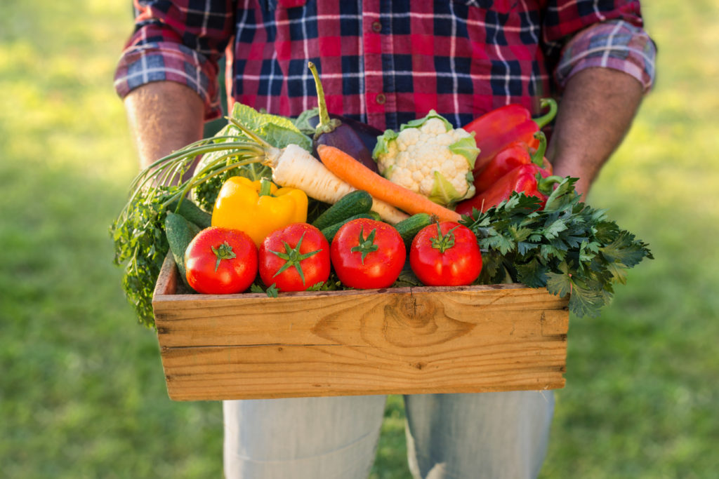 Une vraie bonne idée : adhérer ou créer votre AMAP ! • Le Quotidien du ...