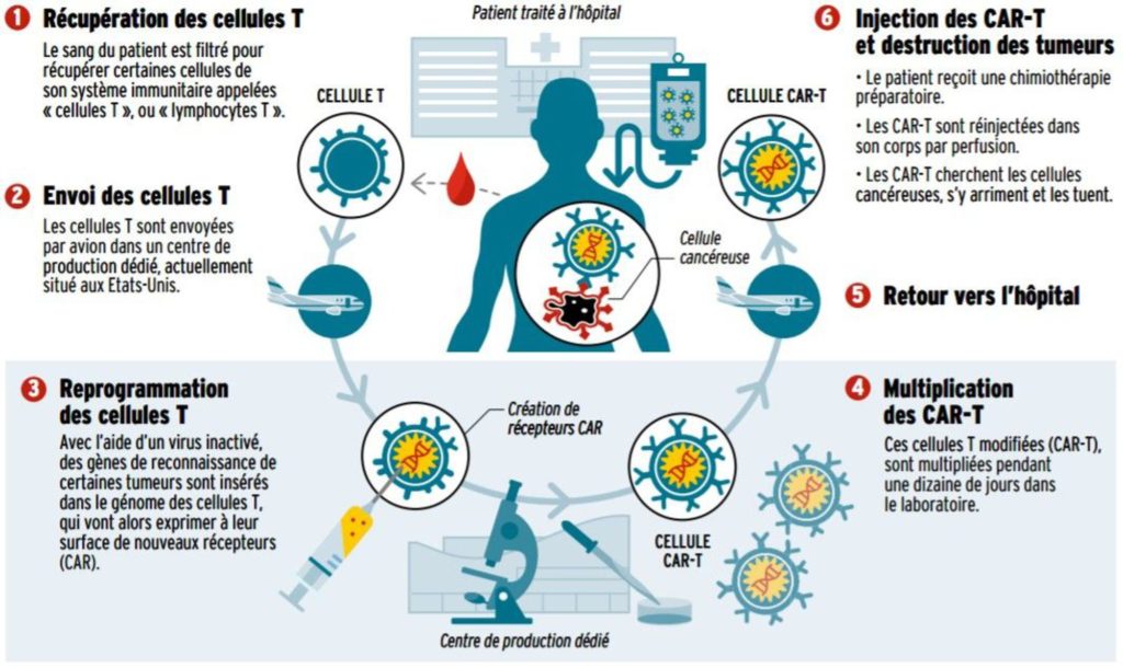 Une injection pour vaincre les leucémies agressives ? C'est la promesse ...