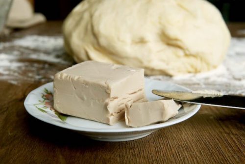 L'action du levain dans la fermentation d'une pâte à pain • Le ...